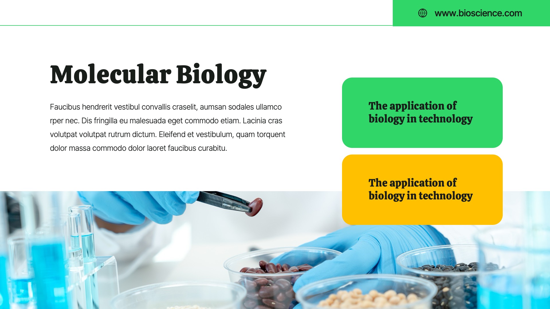 Biology PowerPoint Template, Presentation Templates | GraphicRiver