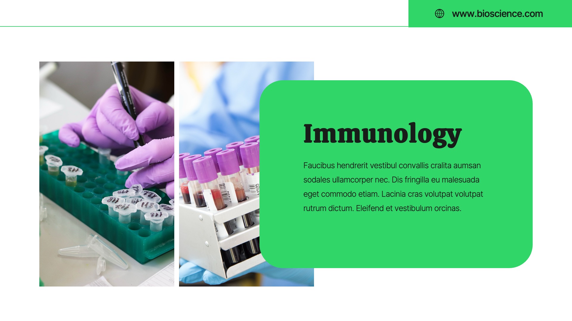 Biology PowerPoint Template, Presentation Templates | GraphicRiver