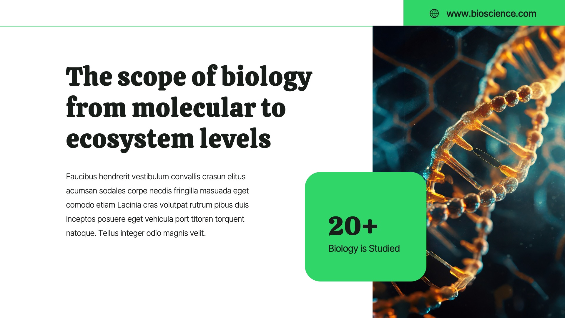 Biology PowerPoint Template, Presentation Templates | GraphicRiver