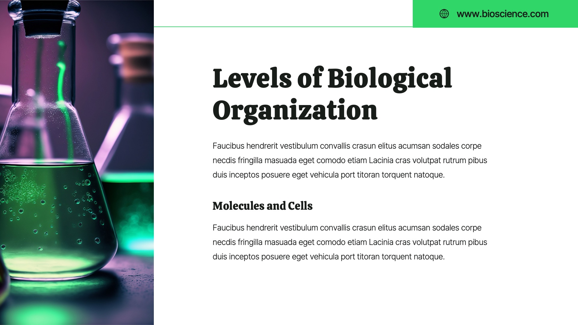 Biology PowerPoint Template, Presentation Templates | GraphicRiver
