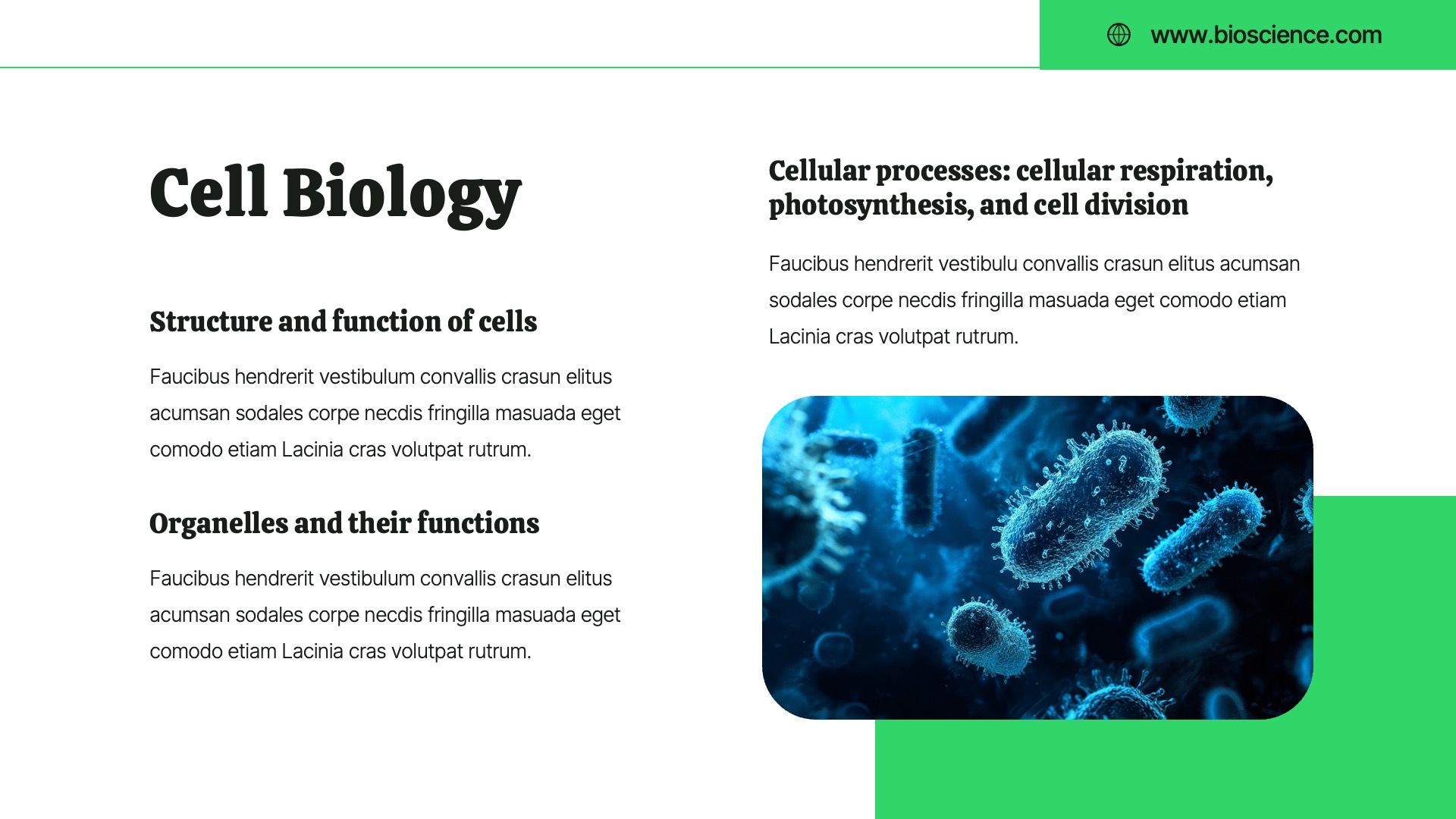 Biology PowerPoint Template, Presentation Templates | GraphicRiver