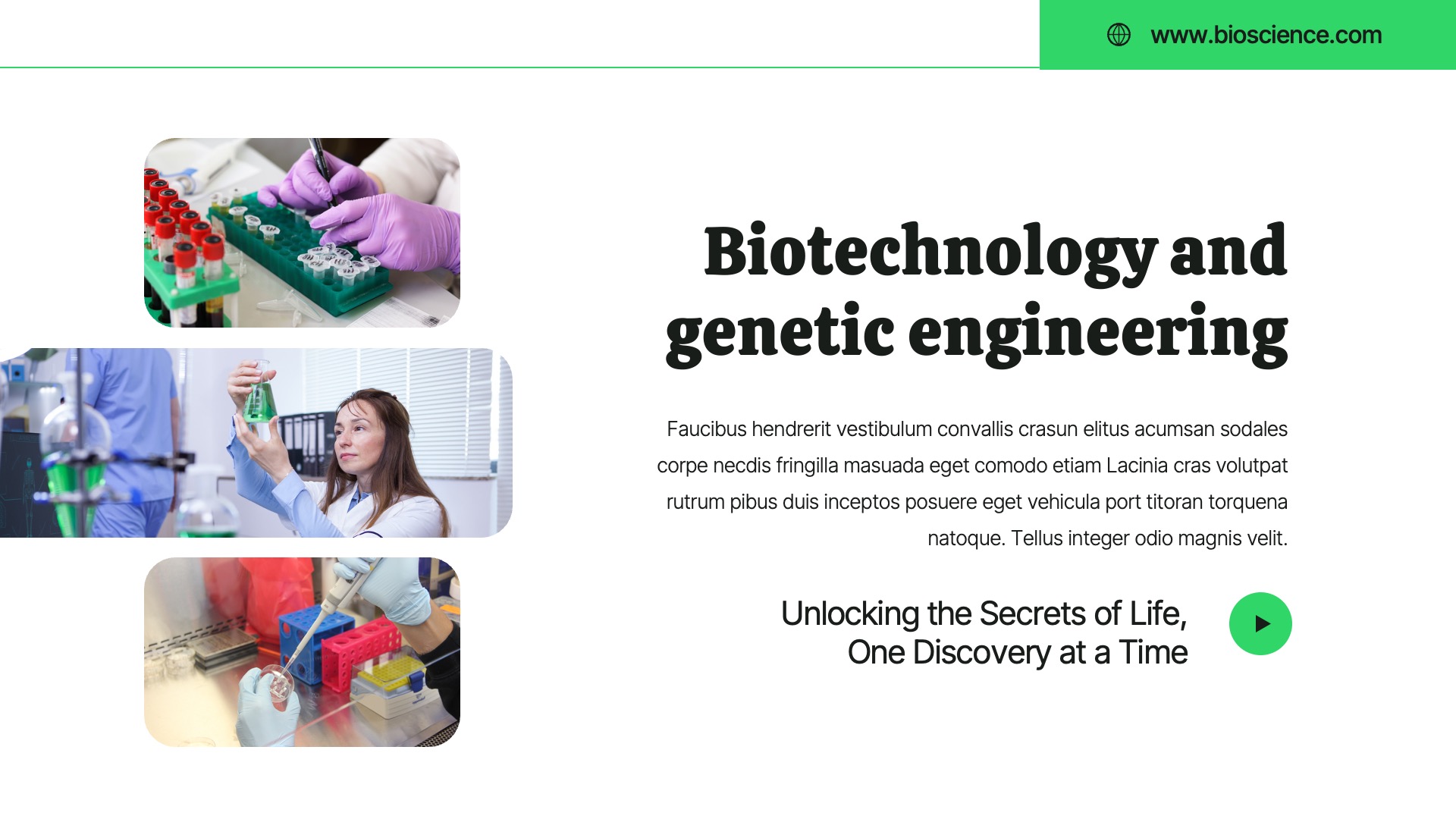 Biology PowerPoint Template, Presentation Templates | GraphicRiver