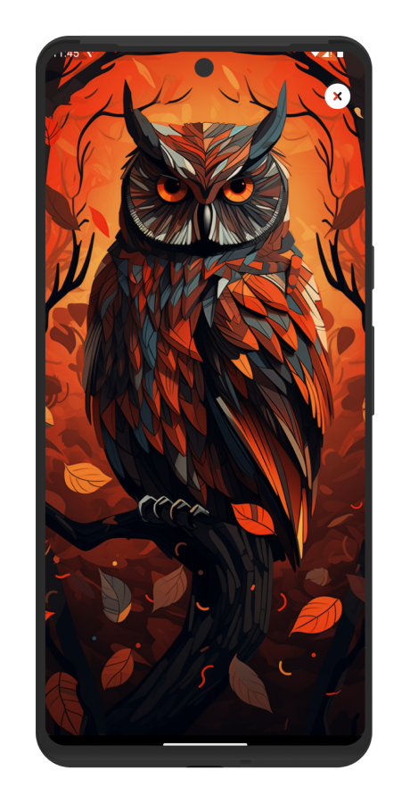 Flutter Wallpaper App with Admin Panel by codecraftsl | CodeCanyon