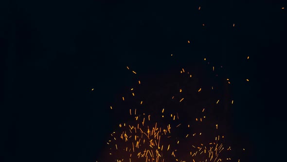 Fire Flame Forest Night Branch Dark Pine Bright Burning Summer Evening ...