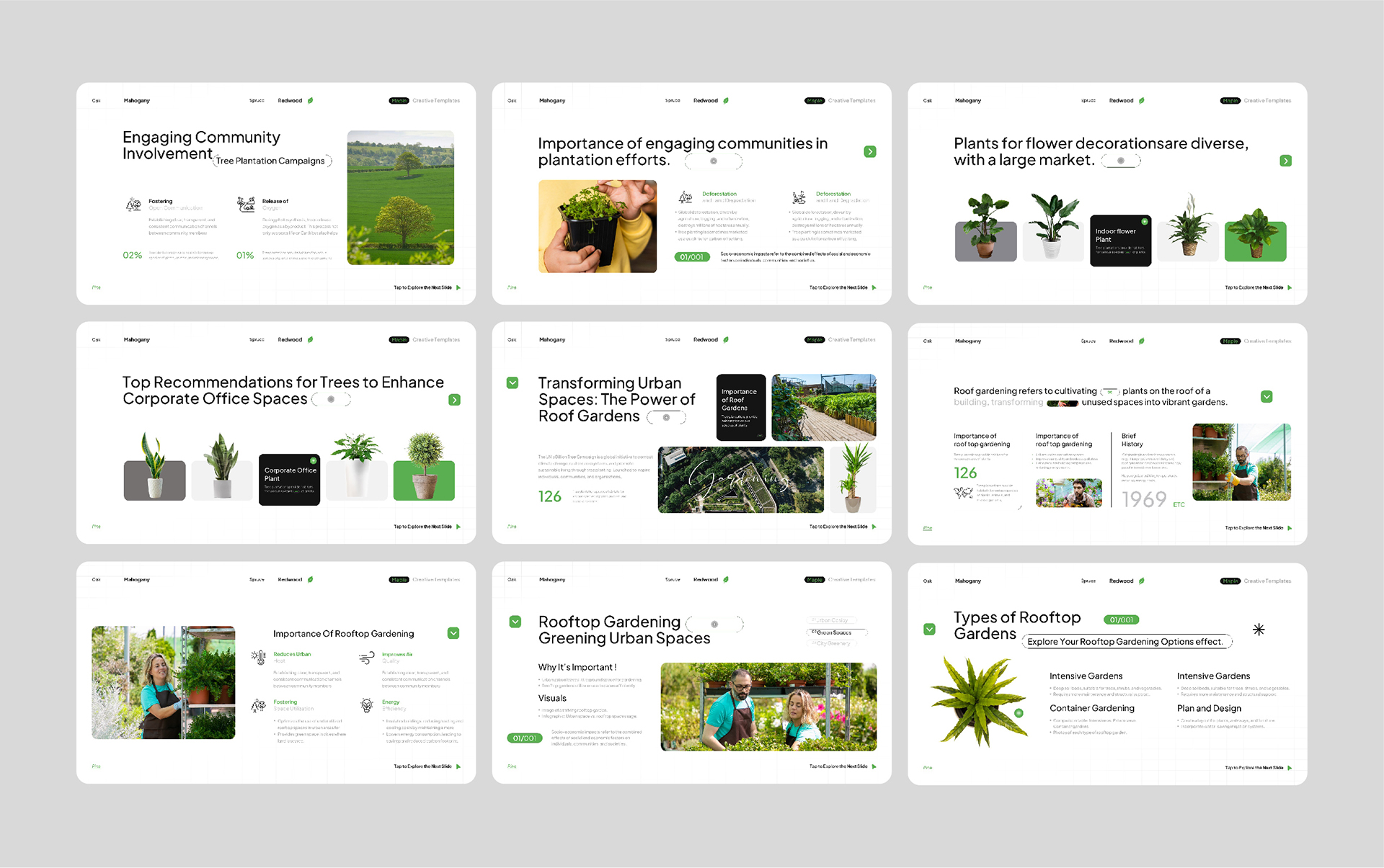 Plantation: Environmental PowerPoint Presentation Template ...