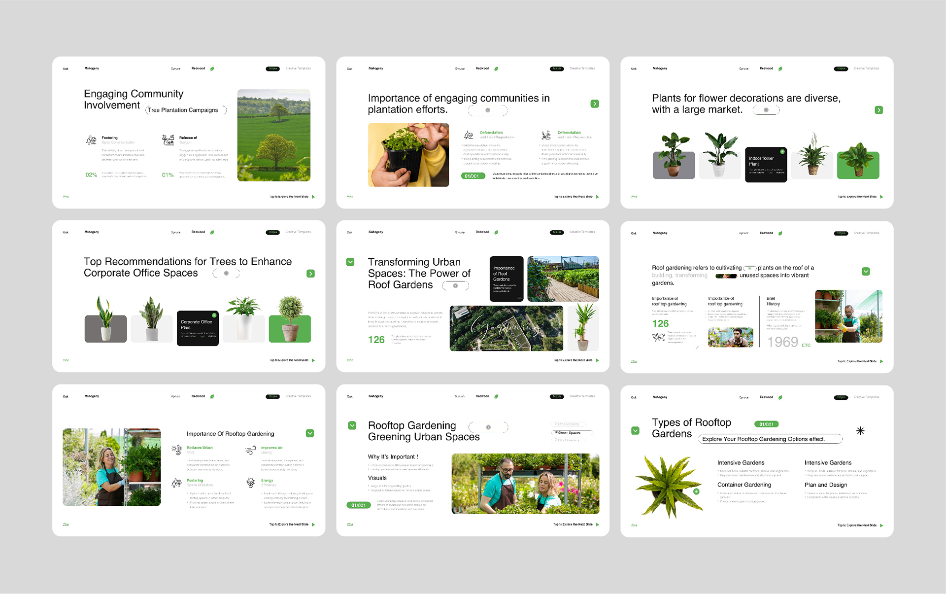 Plantation: Environmental Keynote Presentation Template, Presentation ...