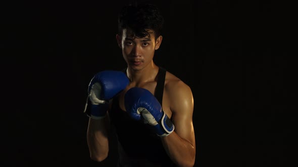 Asian Boxer Pose, Stock Footage | VideoHive