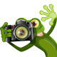 Frog with a Camera, Vectors | GraphicRiver