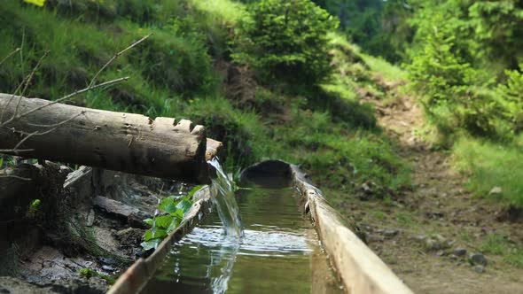 Fresh Clear and Cold Water in Stream at Autumn Forest in Nature, Stock ...