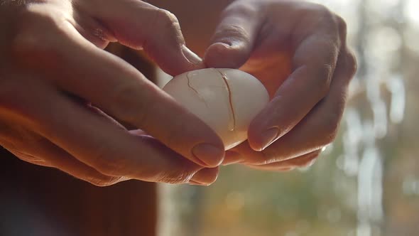 Cracking Open An Egg In Slow Motion, Stock Footage | VideoHive