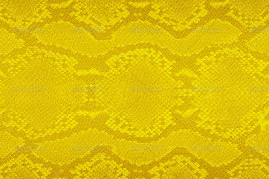 Snakeskin Texture Backgrounds, Graphics | GraphicRiver