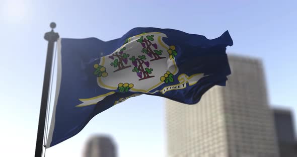 Connecticut state flag waving, Motion Graphics | VideoHive