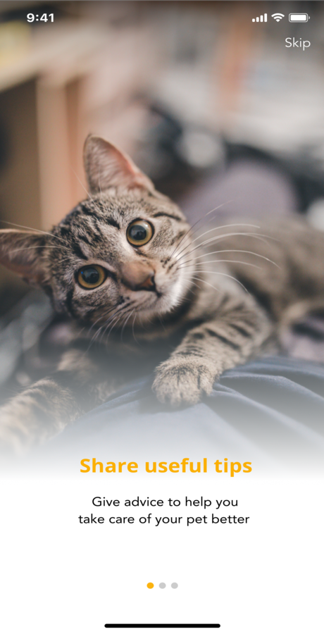 Pet Service App | UI Kit | ReactNative | Figma + XD + Sketch FREE | Life Time Update | Pedoz by ...