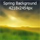 Spring Background, Graphics | GraphicRiver