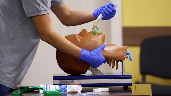 Mannequin and intubation set for advance cardiac life support training ...