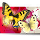 Butterfly Banners, Vectors | GraphicRiver