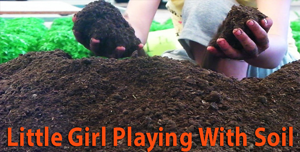 Little Girl Playing With Soil , Stock Footage | VideoHive