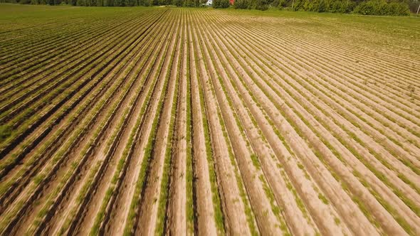 Aerial View of Farmland., Stock Footage | VideoHive