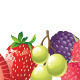 Berry Frame, Vectors | GraphicRiver