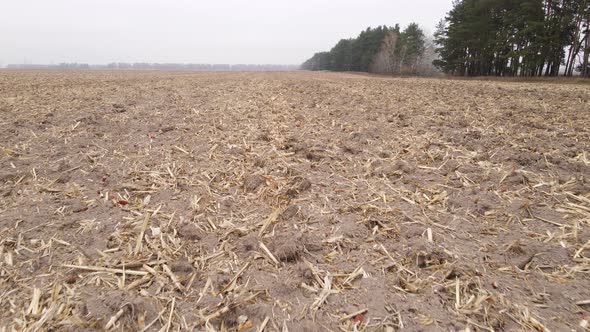 Empty Plowed Field in Autumn Aerial View, Stock Footage | VideoHive