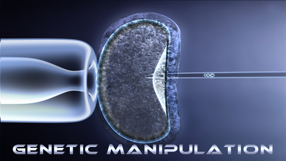 Genetic Manipulation, Stock Footage | VideoHive
