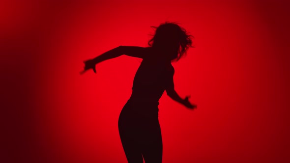 Professional Lady Dancer Performing Strip Dance Slow Motion, Stock Footage