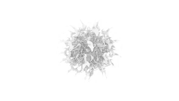 White Background Motion Graphics Animated Background, Motion Graphics