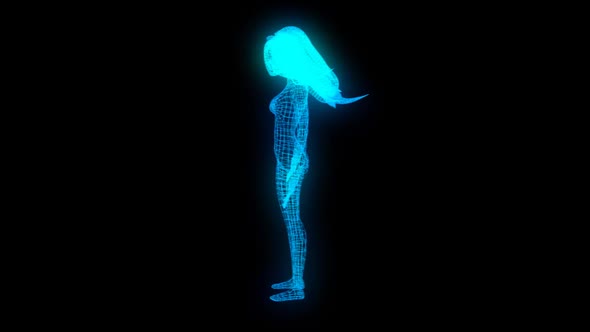 Female Body Anatomy, Motion Graphics | VideoHive