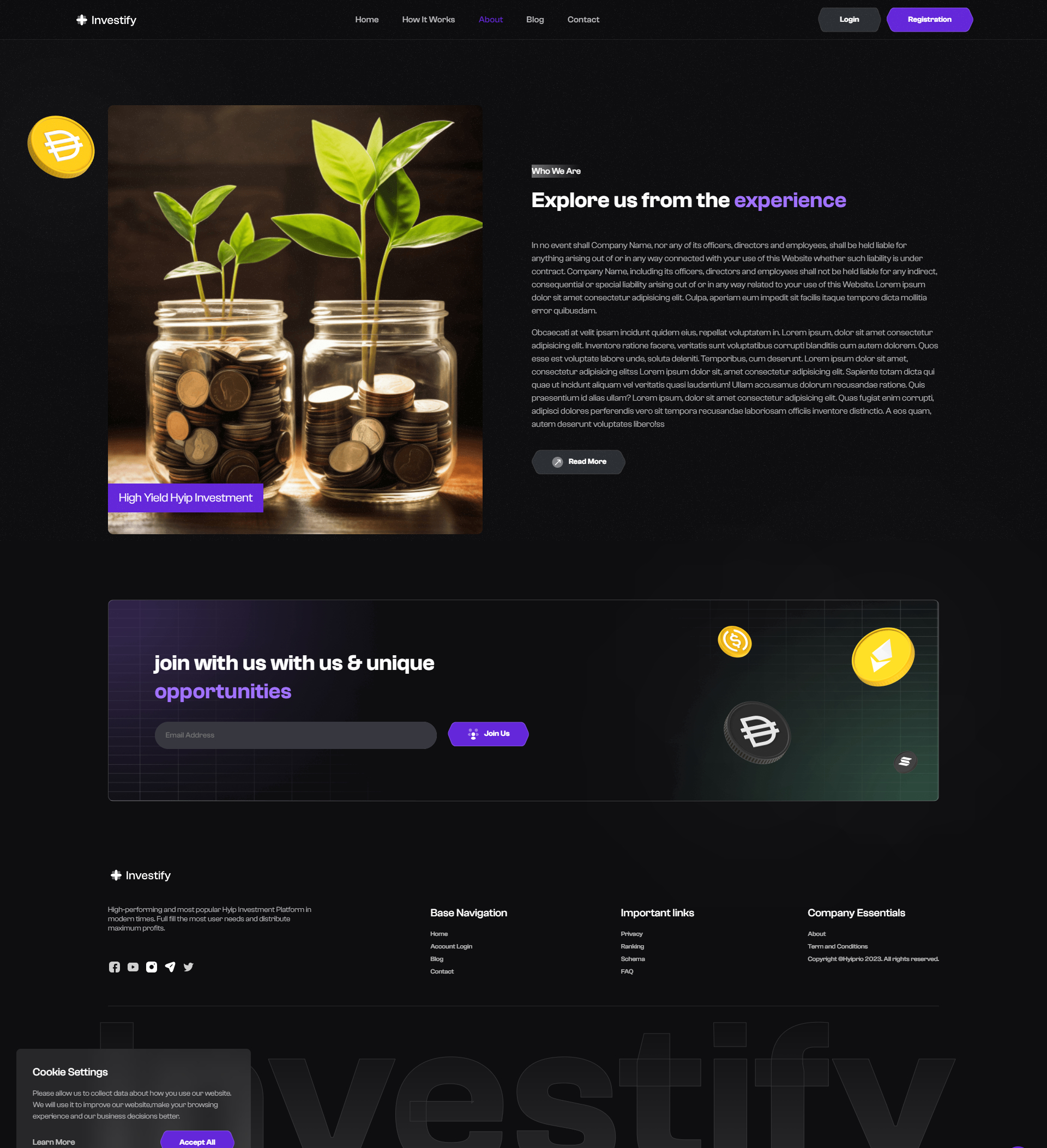 Hyip Rio - Advanced Hyip Investment Scheme With Ranking System and ...