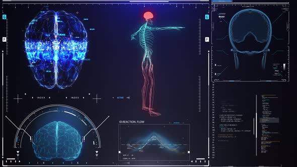 Brain Scan Screen Animation, Motion Graphics | VideoHive