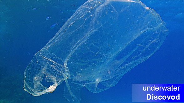 Plastic Bag Floating In Ocean 2, Stock Footage | VideoHive