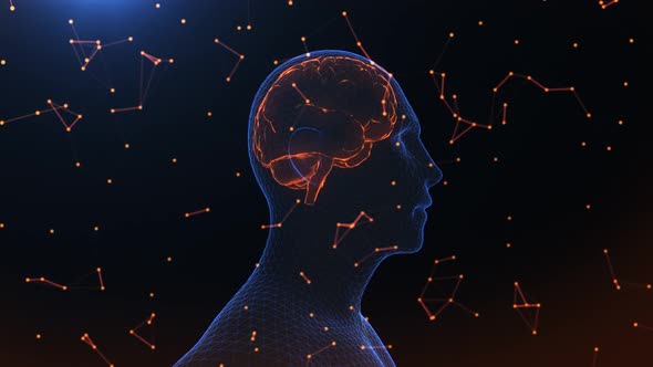 Brain Pack Vol 2 by Annjoymotion | VideoHive