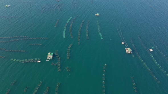 Aerial Shot of Big Sea Farms in the Open Sea in Tropics. Marine Farming ...