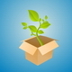 Plant Box, Vectors | GraphicRiver