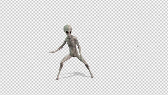 Alien Crazy Dance, Motion Graphics | VideoHive