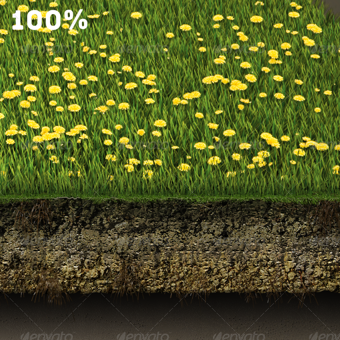 Square Grass Patch, Graphics | GraphicRiver