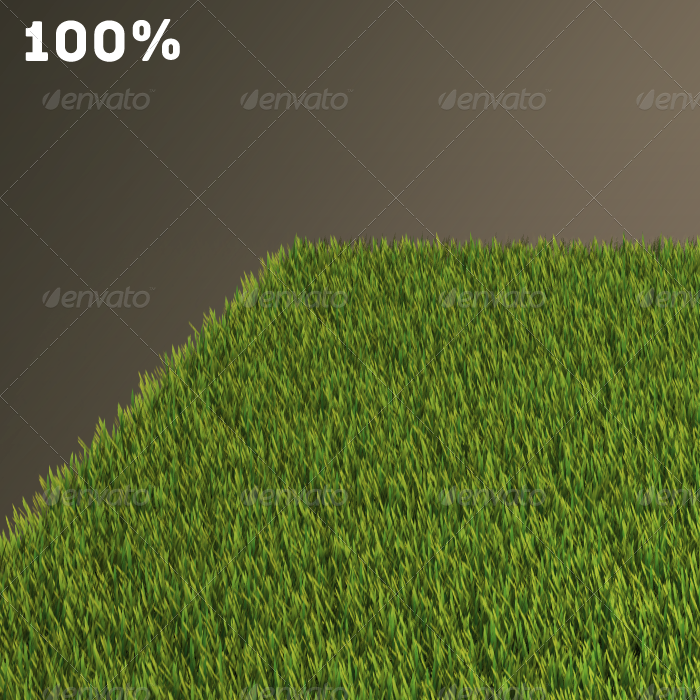Square Grass Patch, Graphics | GraphicRiver