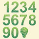Leaf Number, Vectors | GraphicRiver