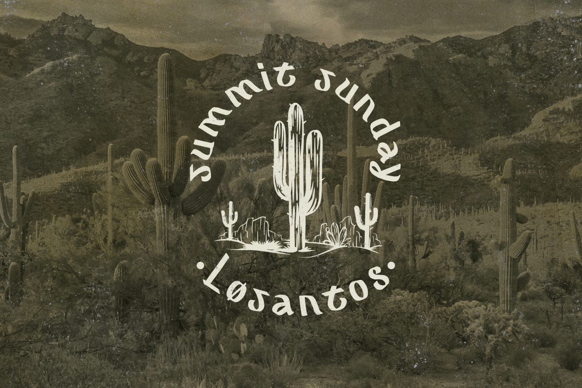 Mograph - Wild Handwritten Font, Fonts | GraphicRiver