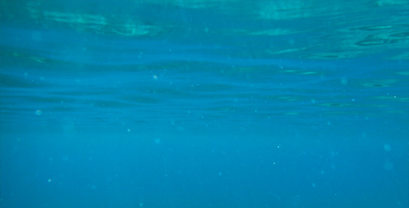Calm Sea Underwater Looks 3, Stock Footage | VideoHive