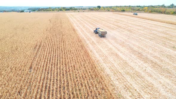 Aerial View of Tractor Transporting Corn Cargo at Field During ...
