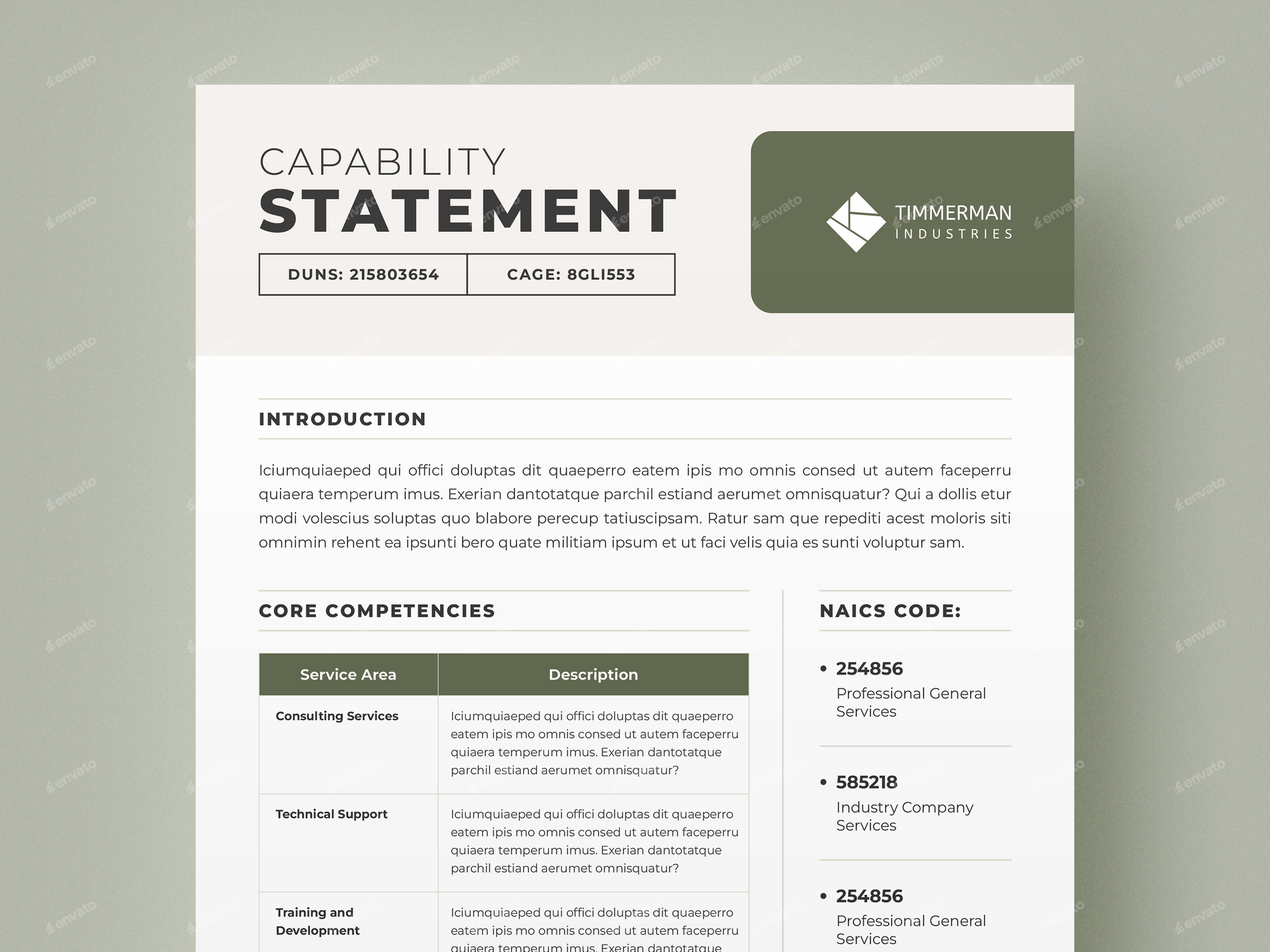 Capability Statement Template A4 & US letter, Print Templates ...