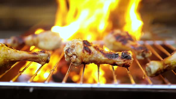 Grilled Chicken BBQ Cooked with a Fire, Stock Footage | VideoHive