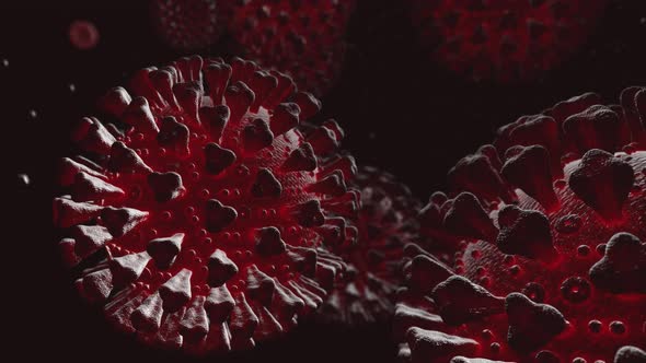 4K Virus , Motion Graphics | VideoHive