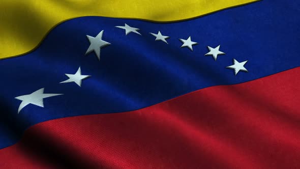 Highly Detailed Flag Of Venezuela, Motion Graphics | VideoHive