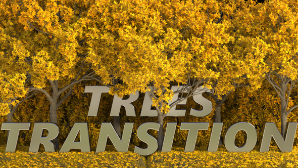Trees Transition Autumn, Motion Graphics | VideoHive