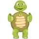 Turtle Funky, Vectors | GraphicRiver