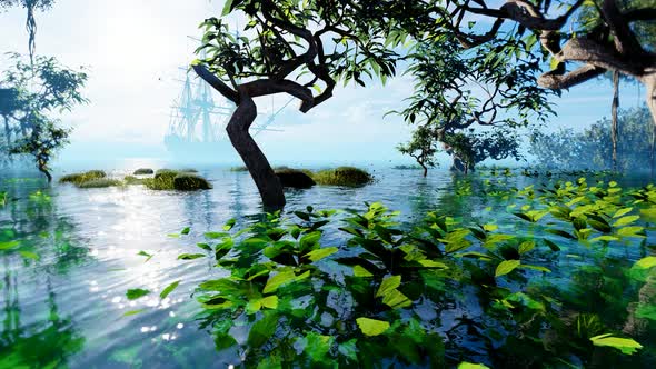 Tropical Island And Ship, Motion Graphics | VideoHive