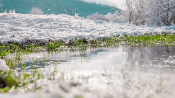 Spring drops dripping into a puddle, near young green grasses., Stock ...