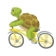 Turtle. Biker., Vectors | GraphicRiver